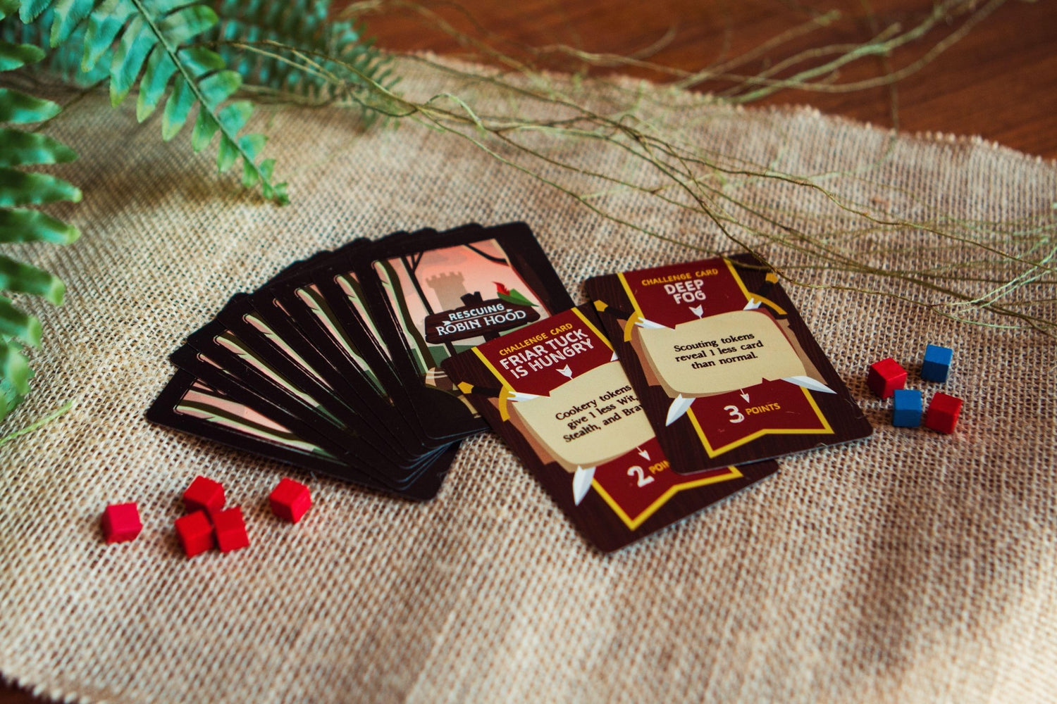 Rescuing Robin Hood (Base Game + Promo) – Gaming Library